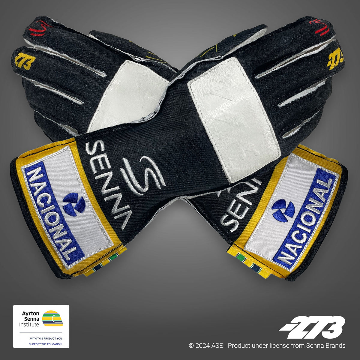-273 x AYRTON SENNA Black – Minus 273